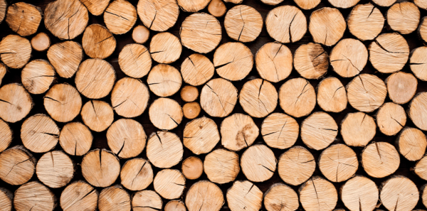 New brochures promote the use of Bernese wood - immo!nvest - Die ...